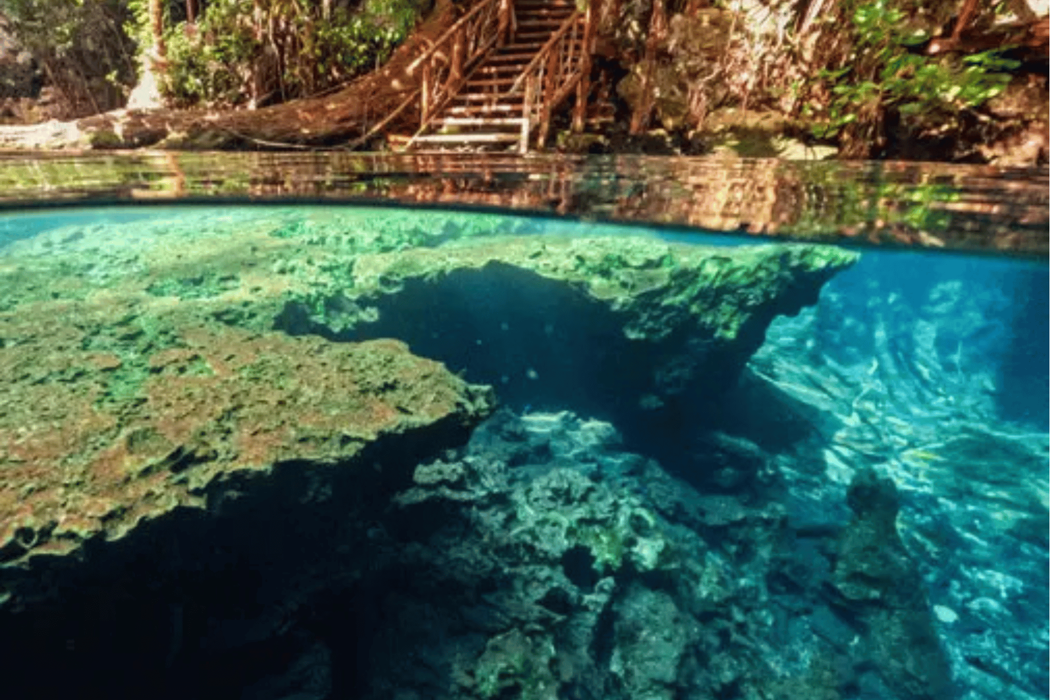 Things To Do - Soul Paje Residential Resort - Zanzibar Accommodation